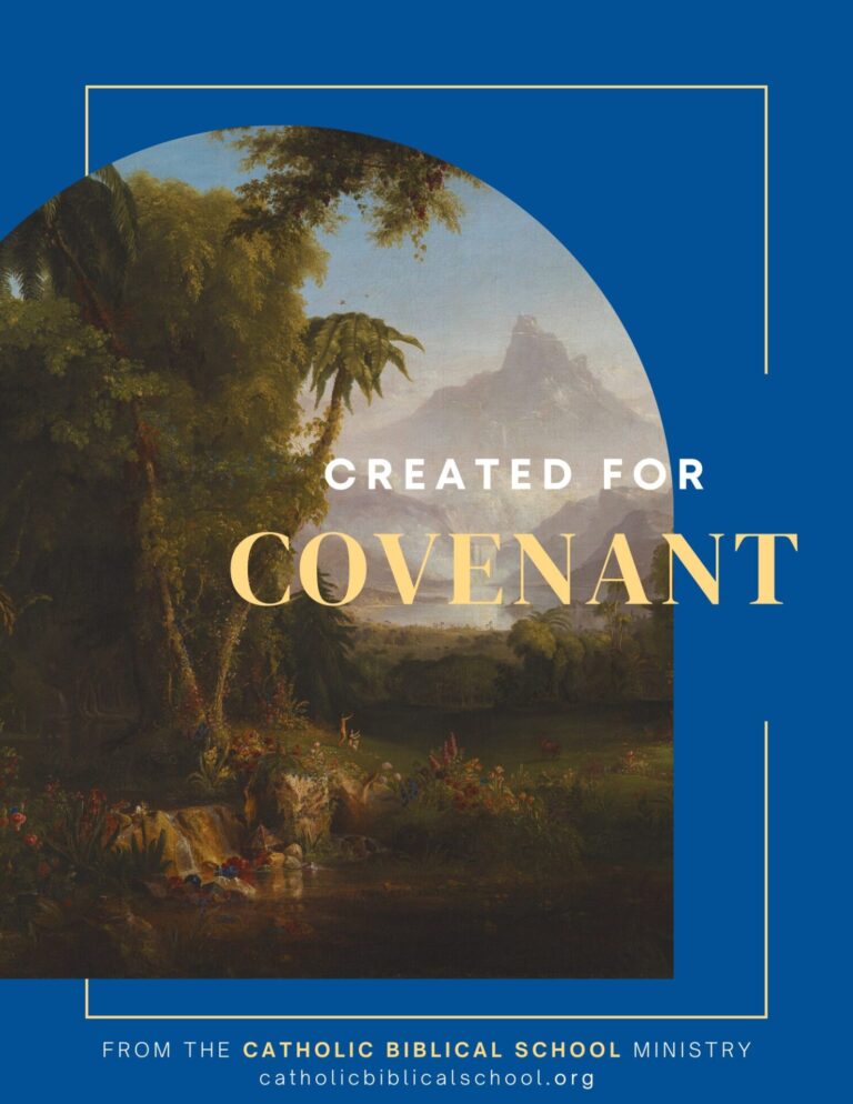 The Bible Course: Four Classes, One Story - Catholic Biblical School